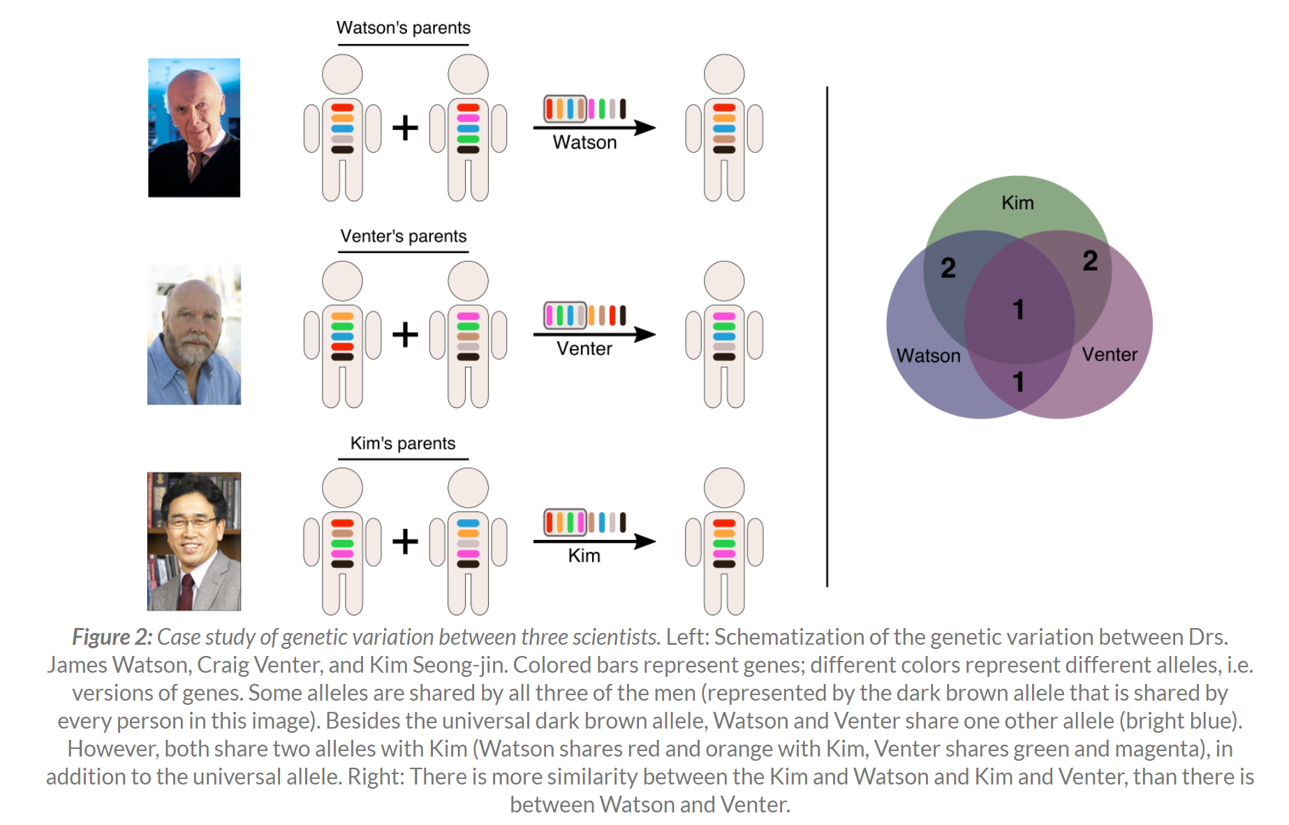 Genetics in the Race Debate – History/Philosophy of Science with Gabi